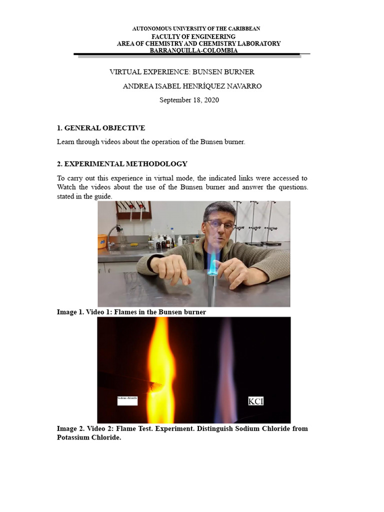 Bunsen Burner Experiment | PDF | Emission Spectrum | Applied And ...