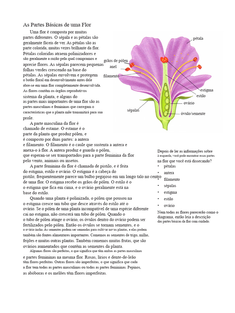 Partes Essenciais da Flor | PDF | Flores | Polinização