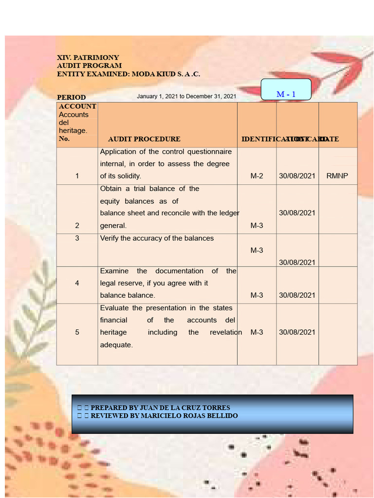 Practical Case 5 | PDF | Audit | Balance Sheet