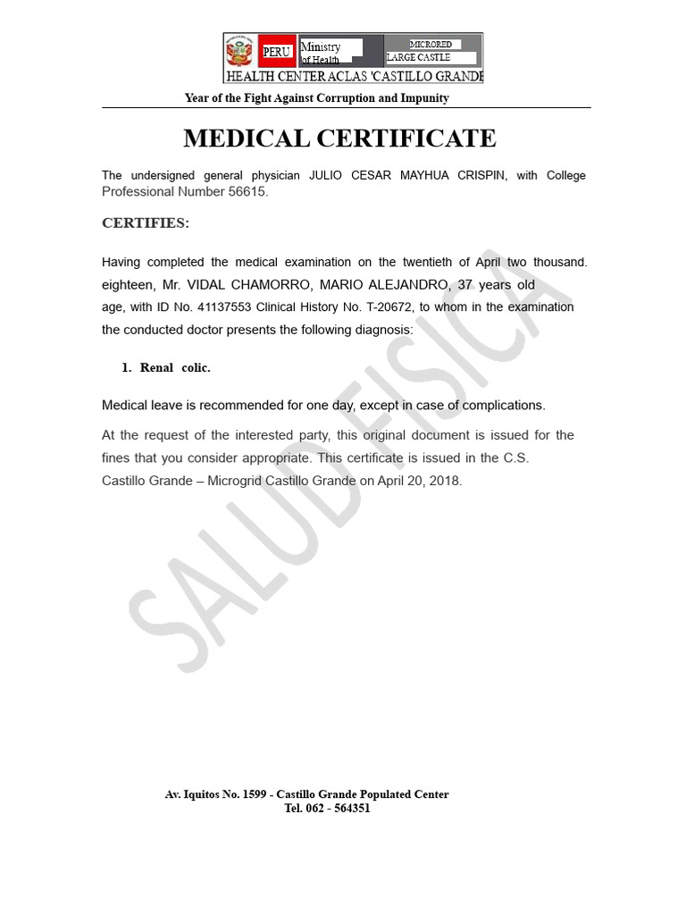 Medical Certificates from Castillo Grande | PDF | Physical Examination ...