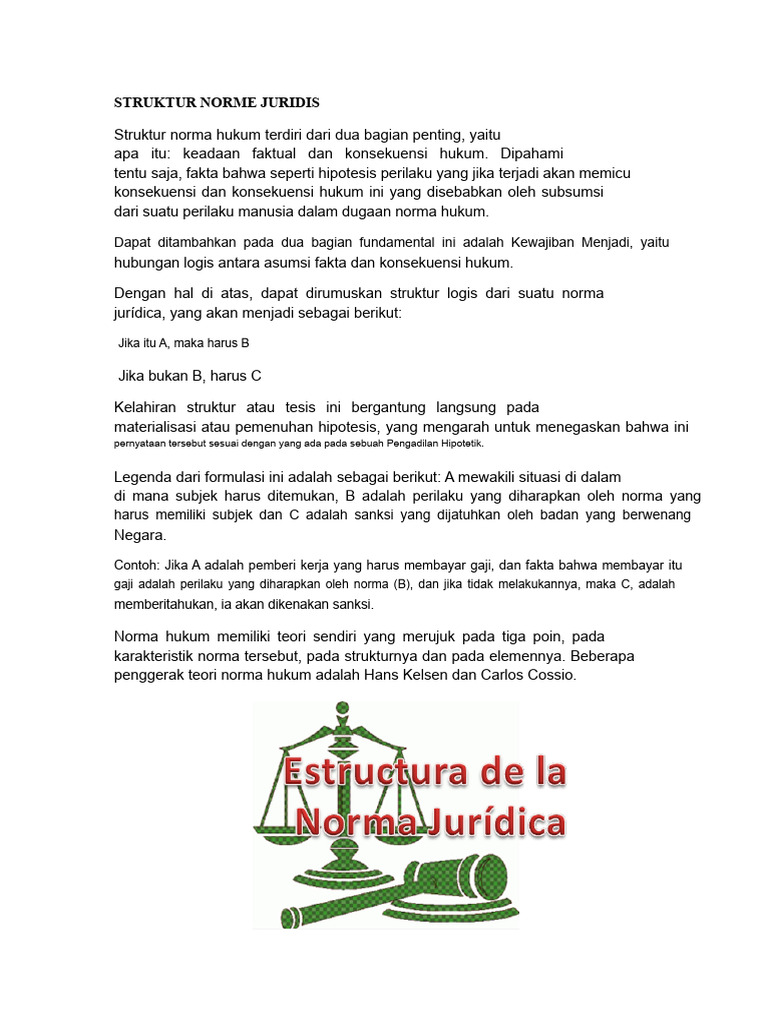 Struktur Norma Hukum dan Organisasi | PDF