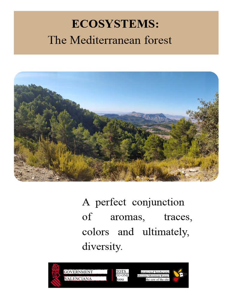 Thematic Unit ECOSYSTEMS Mediterranean Forest | PDF | Ecosystem | Soil