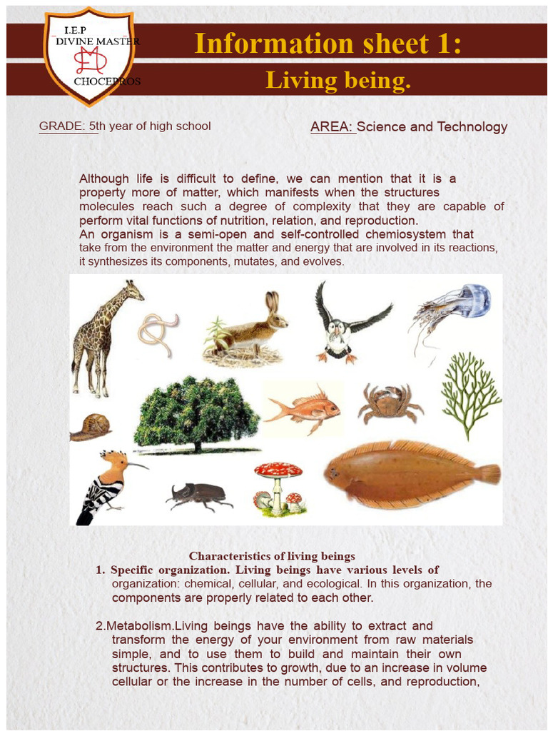 Characteristics of Living Beings | PDF | Reproduction | Organisms