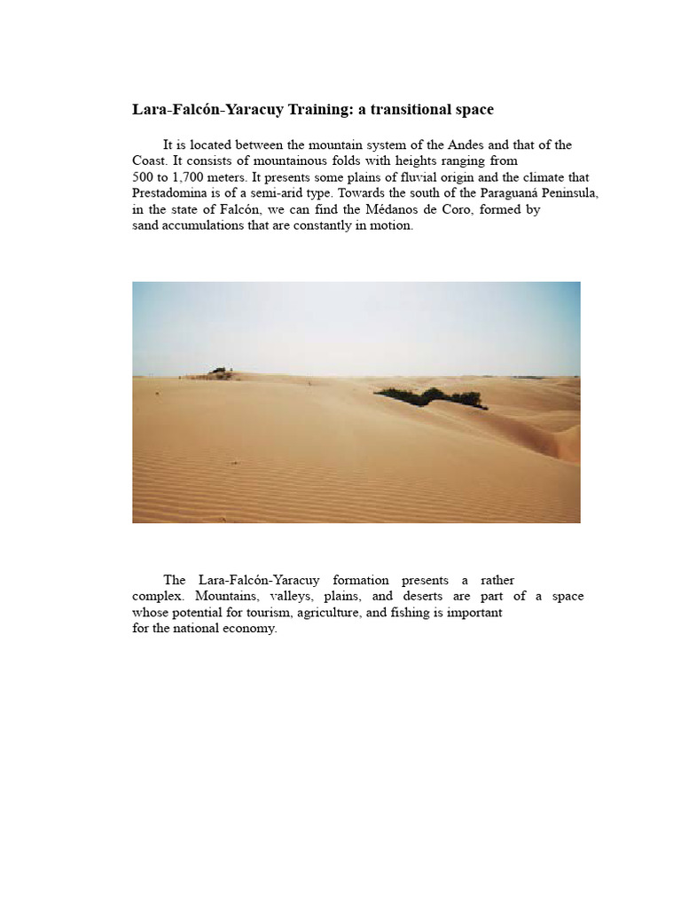 Lara, Falcon and Yarauy Formation | PDF