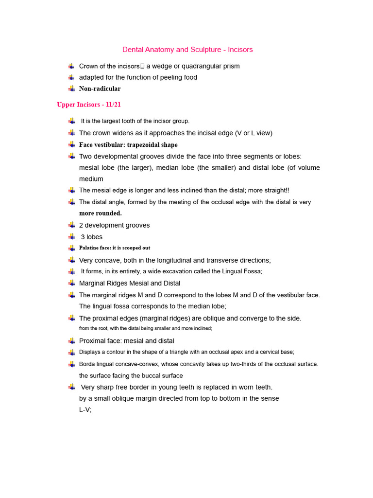 INCISORS Summary by Ana Viviam | PDF | Dental Anatomy | Dentistry Branches