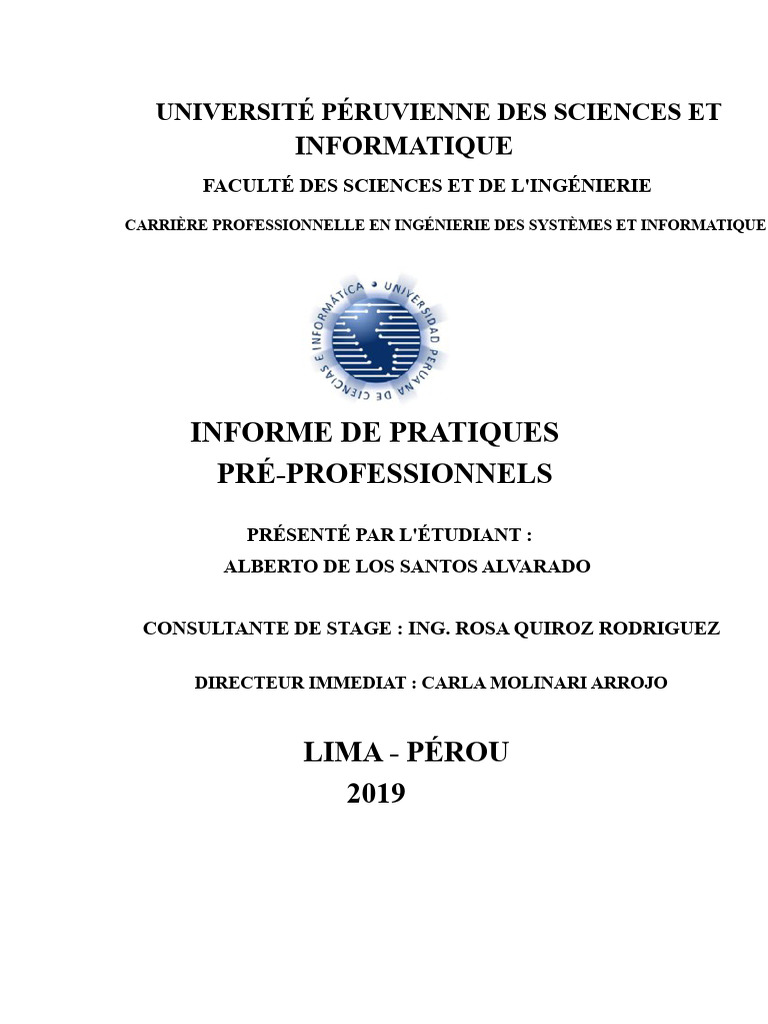 Rapport de Stage en Ingénierie Informatique | PDF | Informatique | Business