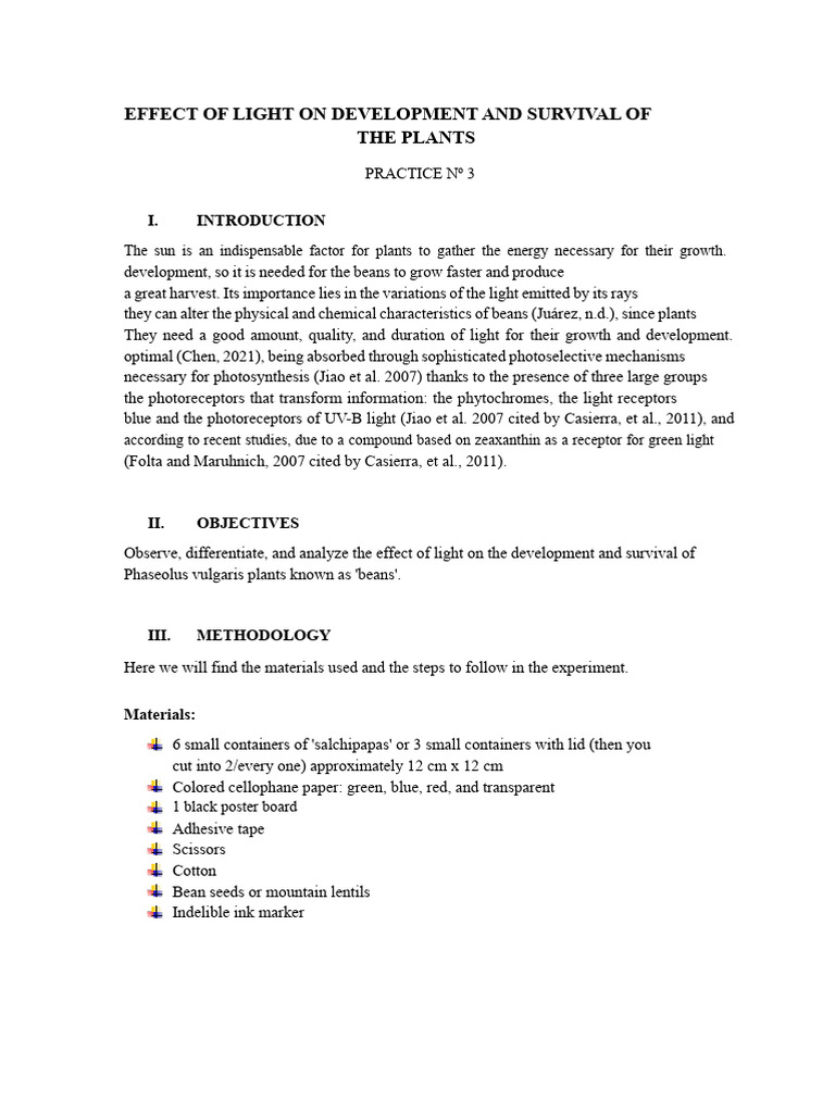 Impact of Light on Bean Plant Growth | PDF | Seed | Root