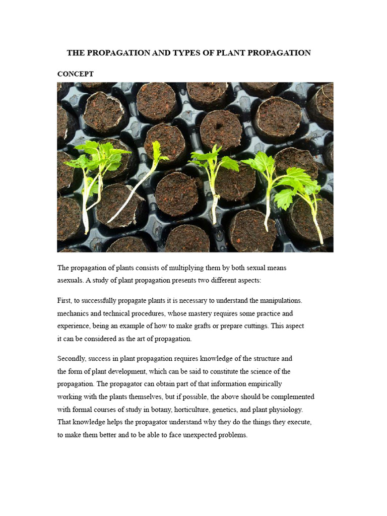 The Propagation and Types of Plant Propagation | PDF | Reproduction ...