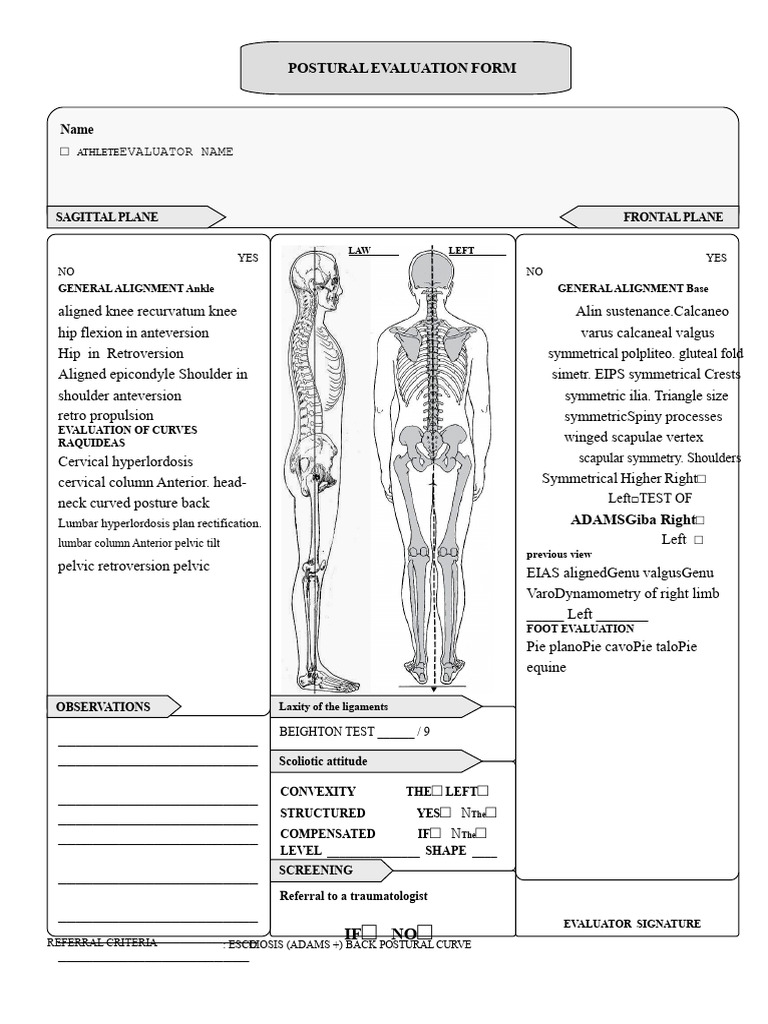 Postural Evaluation 1 | PDF | Anatomical Terms Of Location | Pelvis