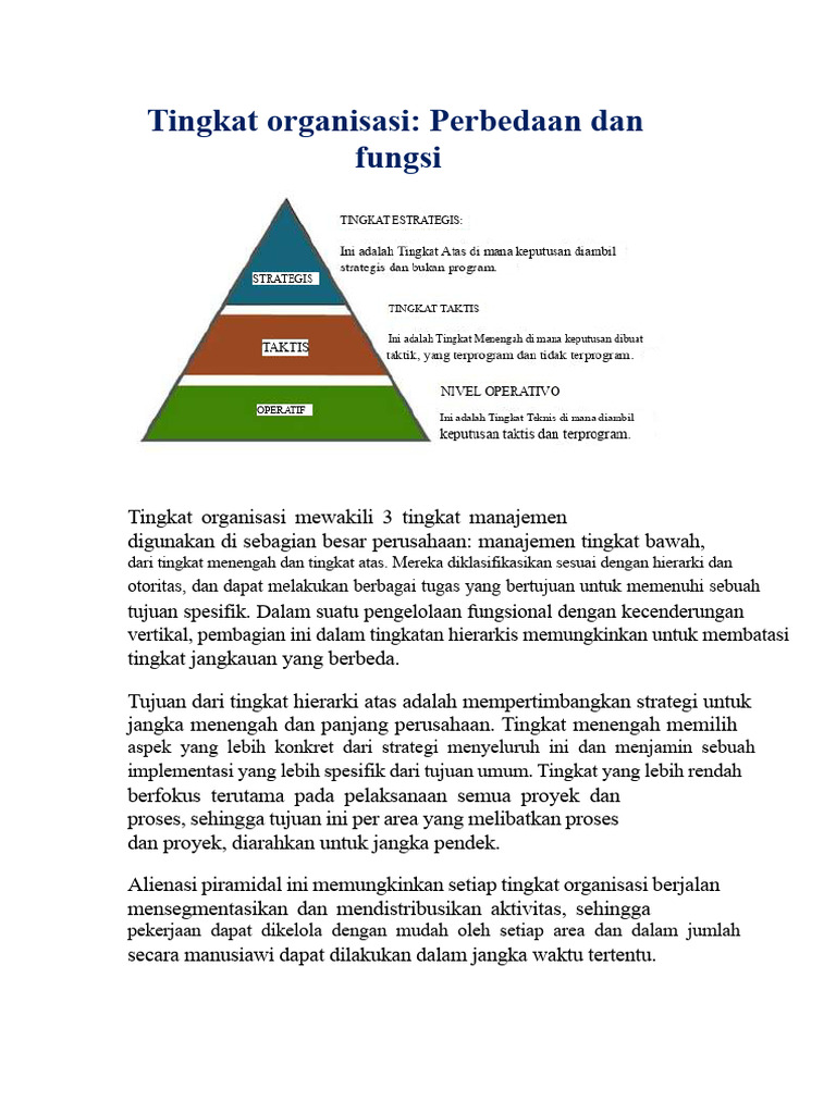 Tingkat Organisasi: Manajemen Strategis, Taktis, dan Operasional | PDF