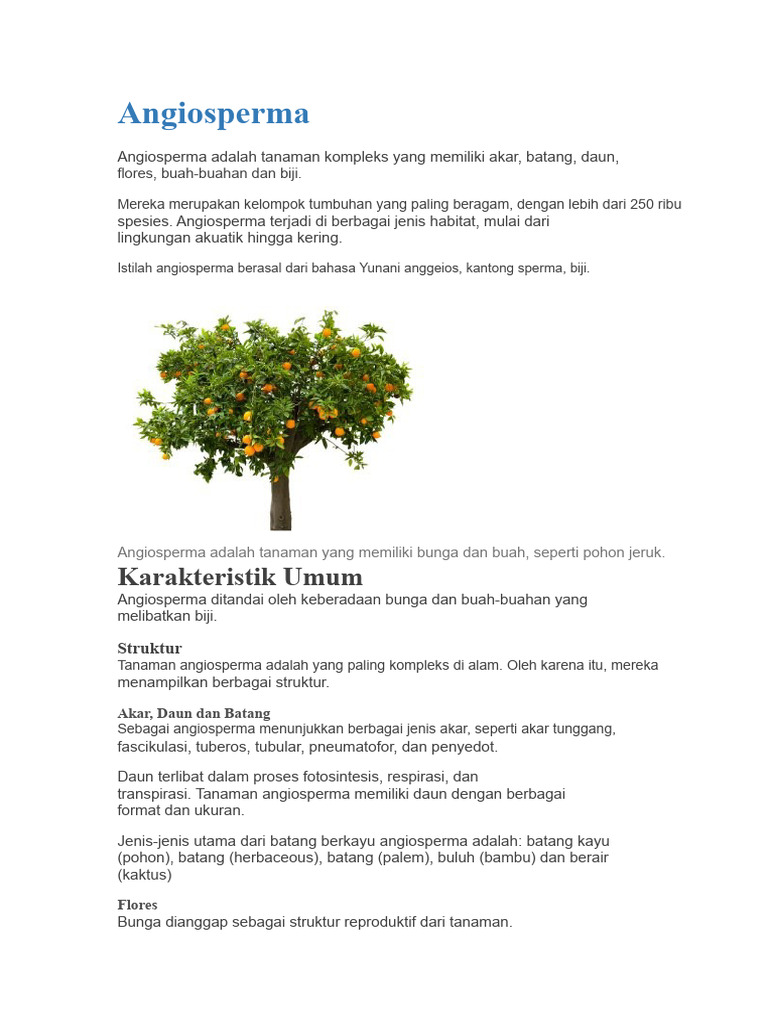 Angiosperma: Ciri dan Klasifikasinya | PDF