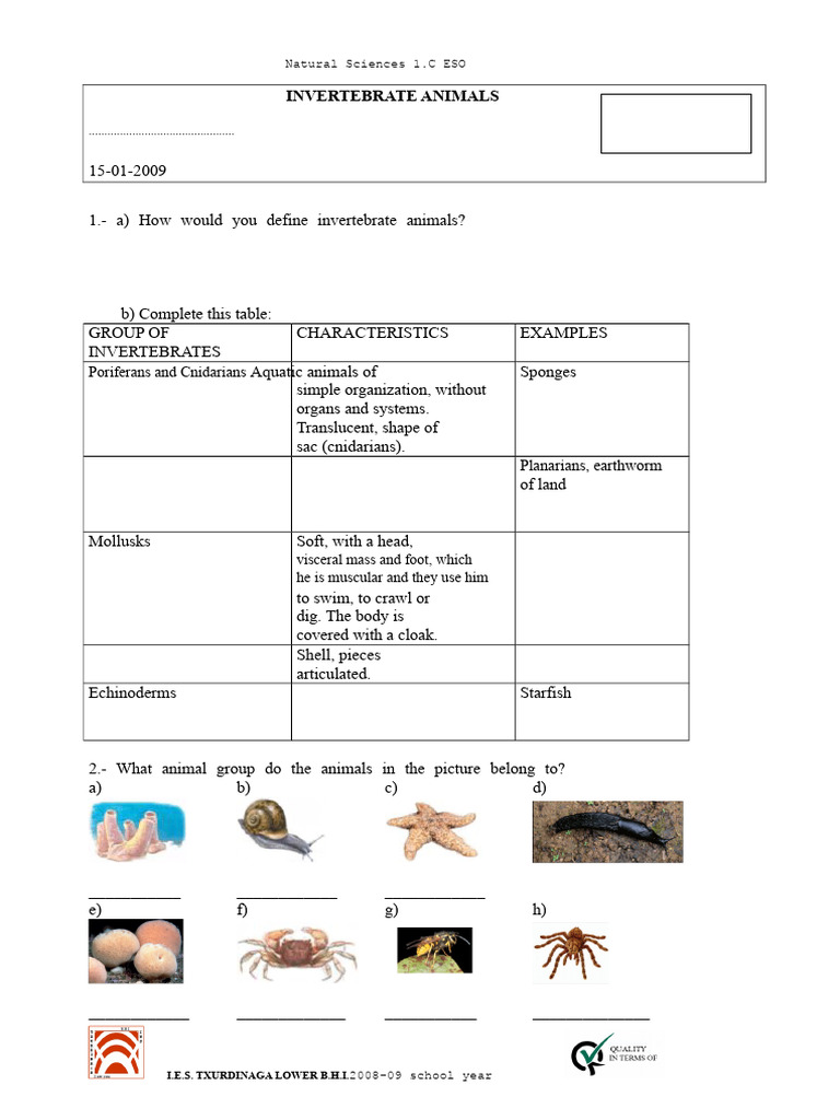 Exam Invertebrate Animals 4 Basic | PDF | Invertebrate | Mollusca