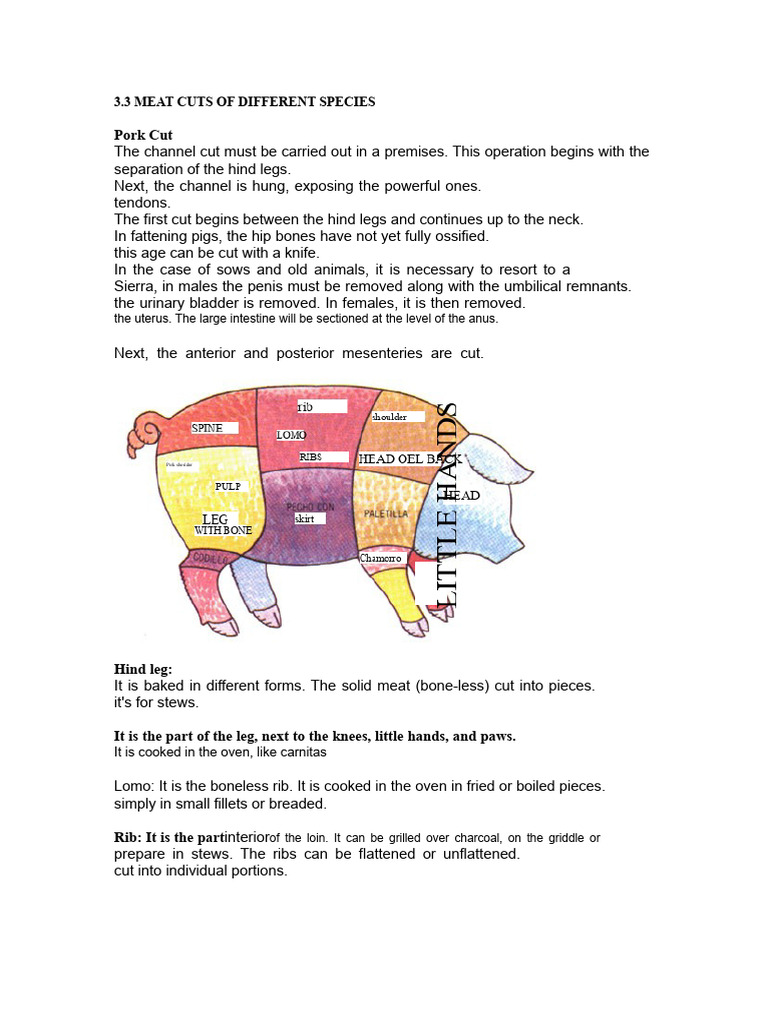 Different Cuts of Meat | PDF | Steak | Meat