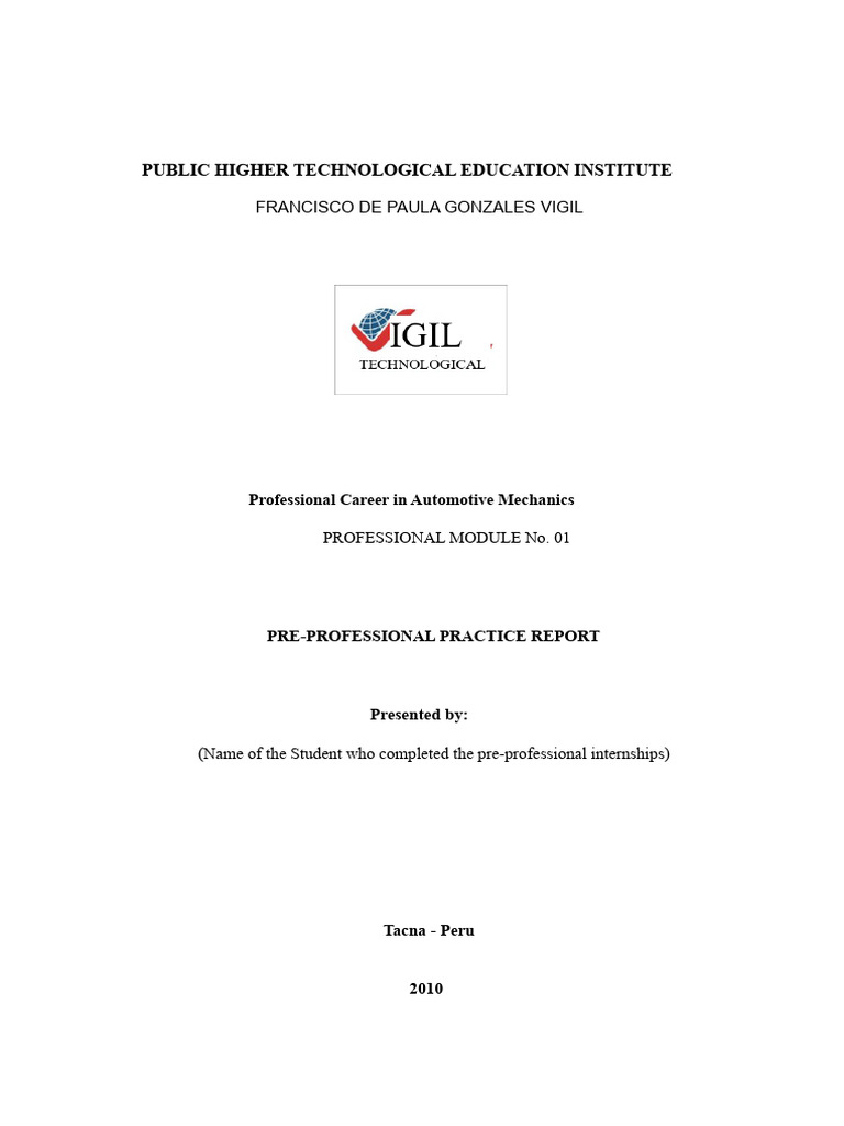 Professional Practice Report Model IESTP VIGIL | PDF