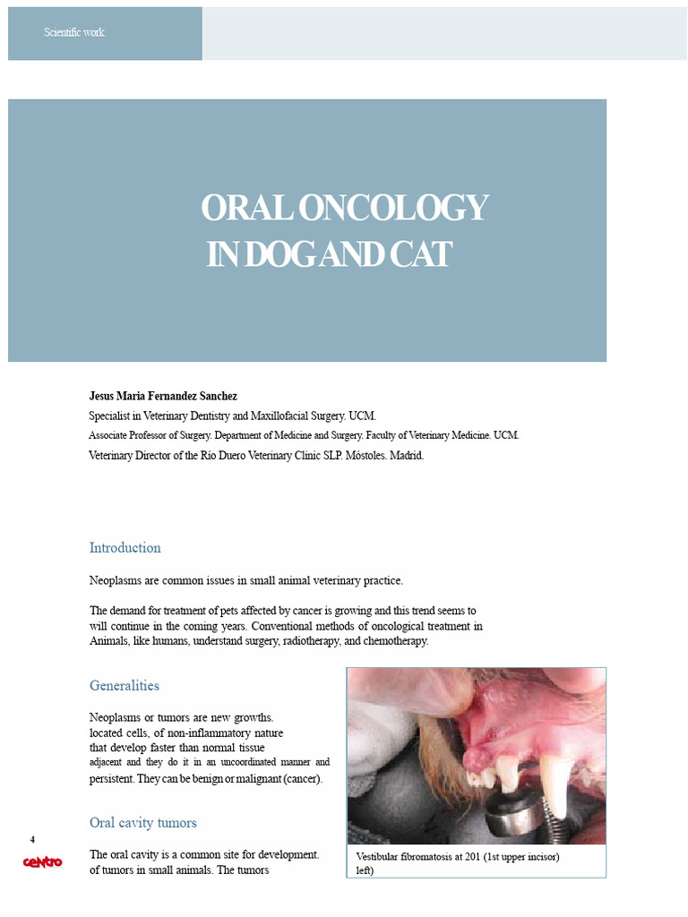 Oral Oncology in Dogs and Cats | PDF | Melanoma | Neoplasms