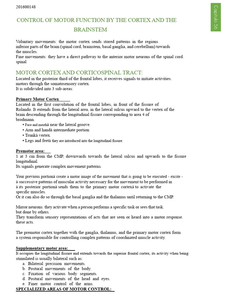 Chap. 56 Control of Motor Function by The Cortex and The Brainstem ...