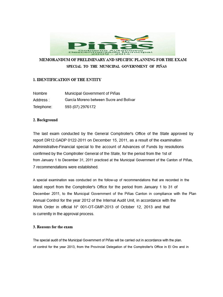 1 Preliminary and Specific Planning Format For Pineapples | PDF | Audit ...