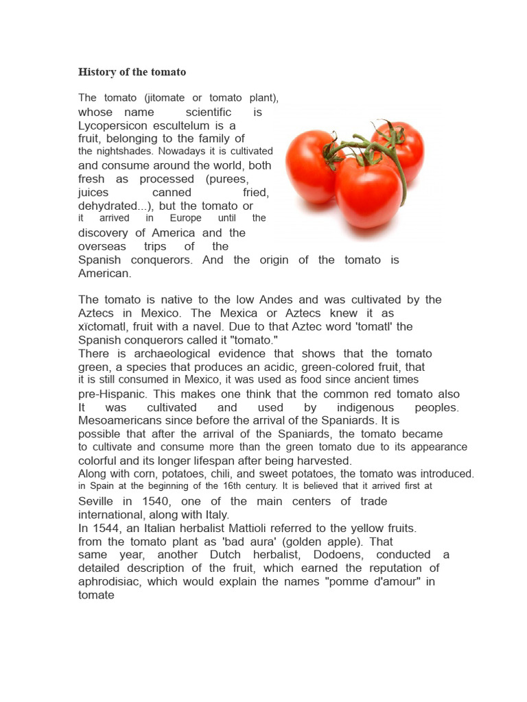 History of The Tomato | PDF | Tomato | Foods