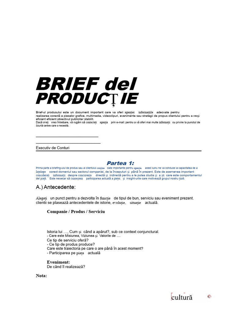 Model de Brief de Produs | PDF
