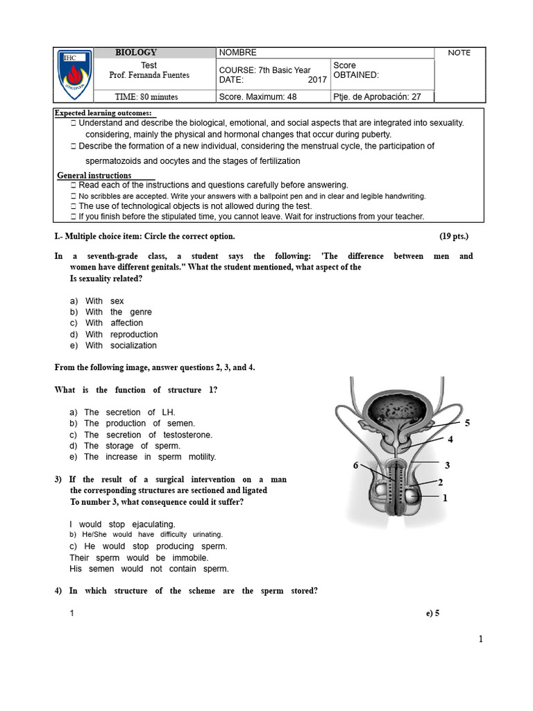 Seventh Grade Test. Reproductive System | PDF | Menstrual Cycle ...