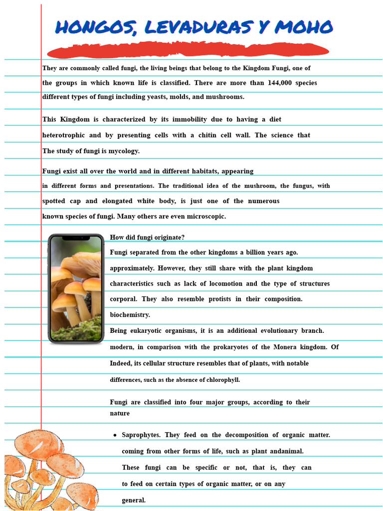 Mushrooms, Yeasts, and Mold | PDF | Fungus | Yeast