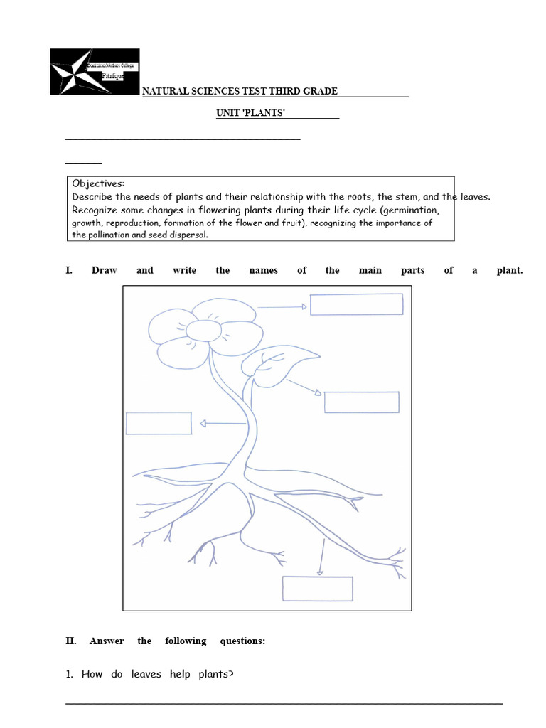 Science Test The Plants Third Grade | PDF | Plants | Flowers