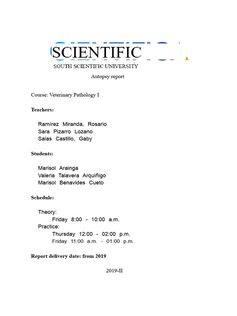 Cuy Necropsy Report | PDF | Gastrointestinal Tract | Kidney