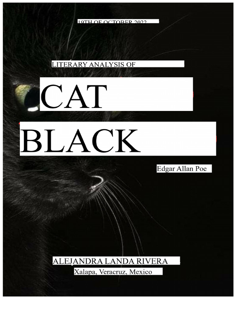 The Black Cat (Literary Challenge) | PDF | Edgar Allan Poe