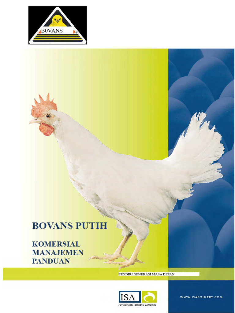 Panduan Manajemen Ayam Petelur BOVANS | PDF