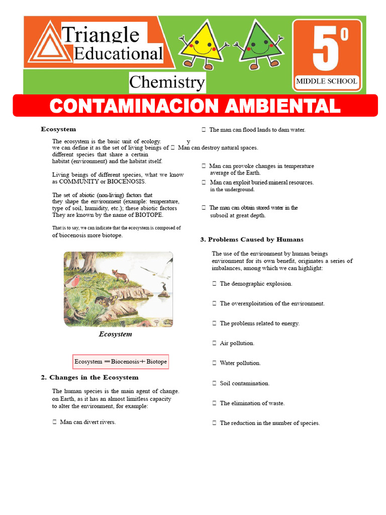 Environmental Pollution For Fifth Grade of Secondary School | PDF ...