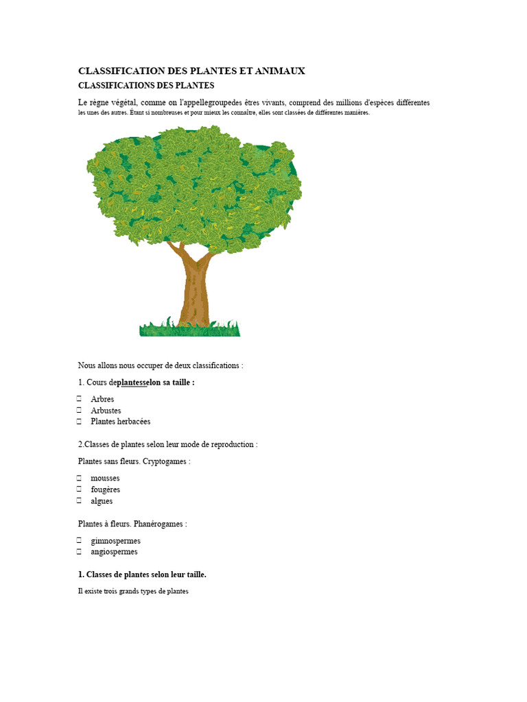 Classification des Plantes et Animaux | PDF | Plantes | Arbres