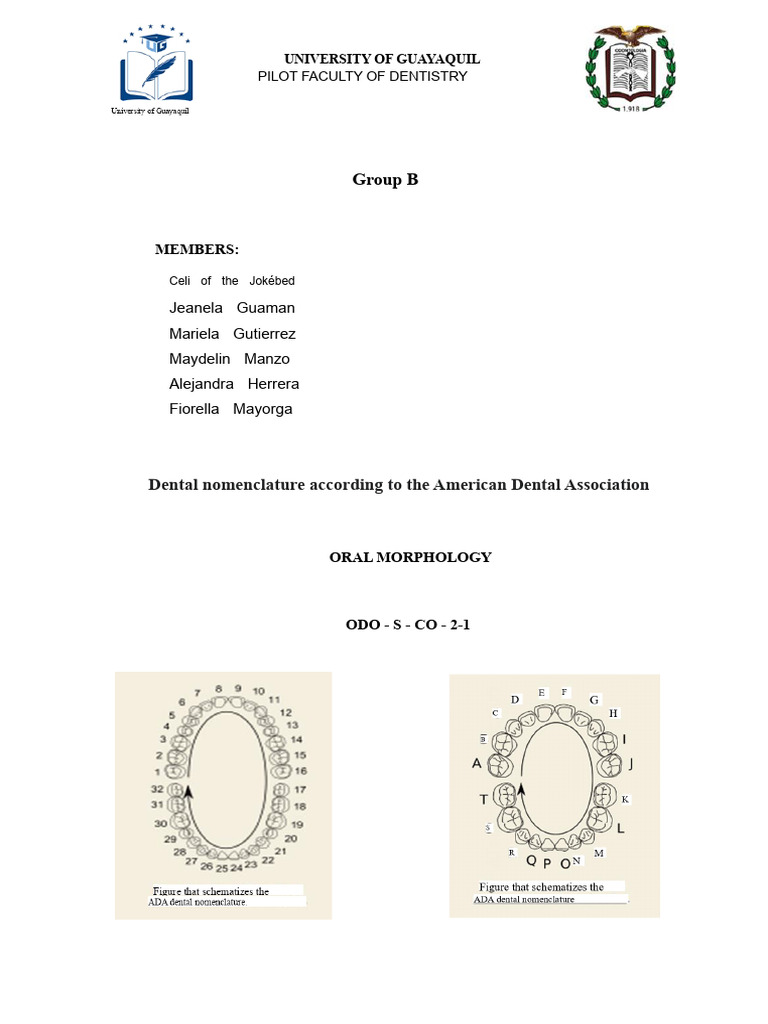 Dental Nomenclature and Anatomy Guide | PDF | Dental Anatomy | Tooth