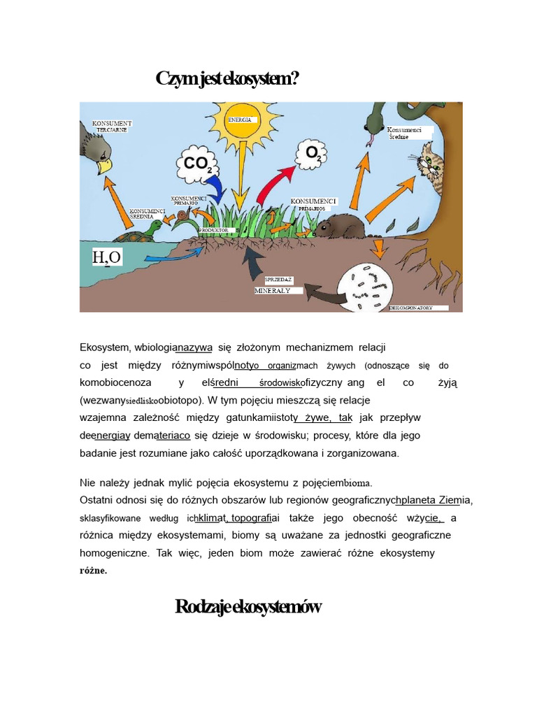 15 Podsumowanie Czym Jest Ekosystem | PDF