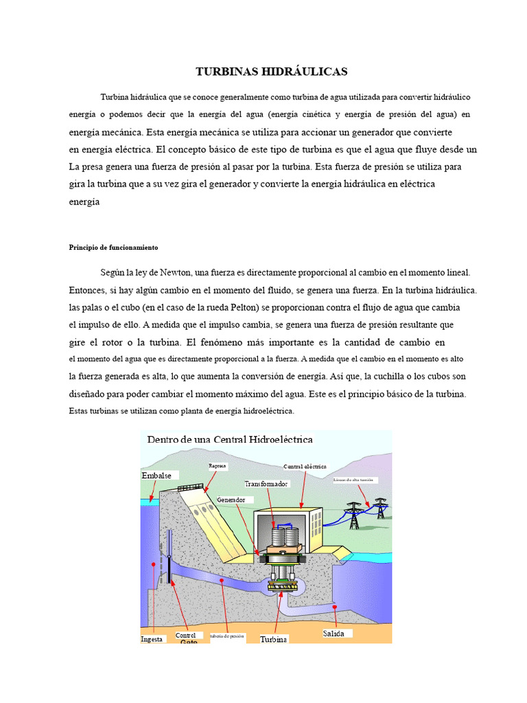 Tipos y Funcionamiento de Turbinas Hidráulicas | PDF | Turbina ...