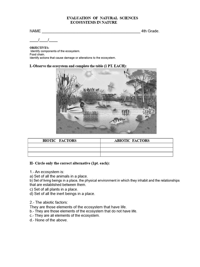 Natural Sciences Assessment | PDF | Ecosystem | Herbivore