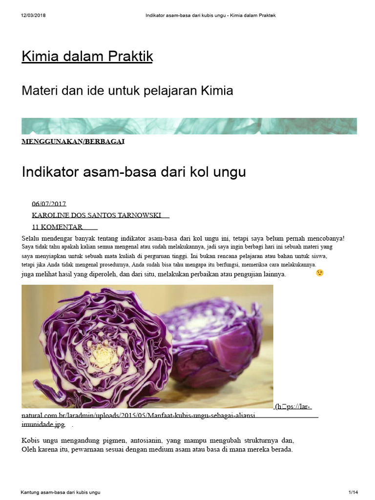 Indikator pH Alami dari Kubis Ungu | PDF