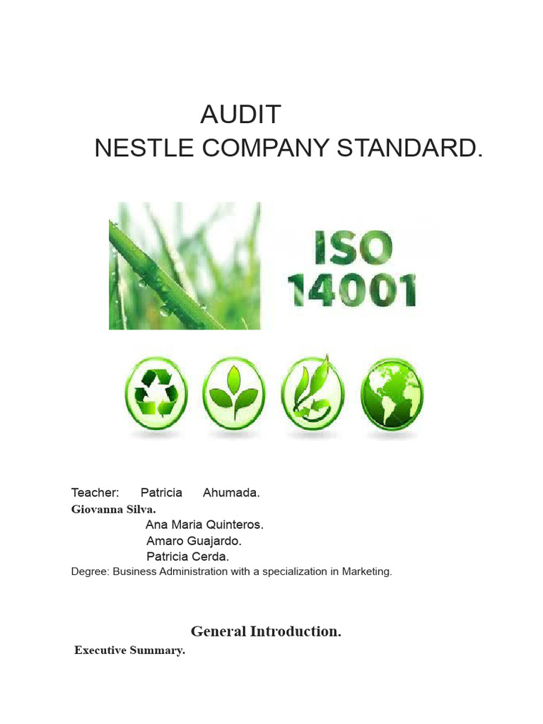 AUDIT | PDF | Audit | Nestlé
