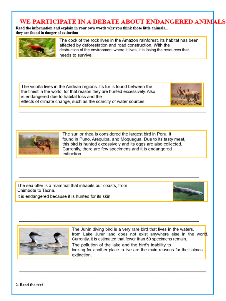 Communication Record 11-09 We Participated in A Debate About Endangered ...
