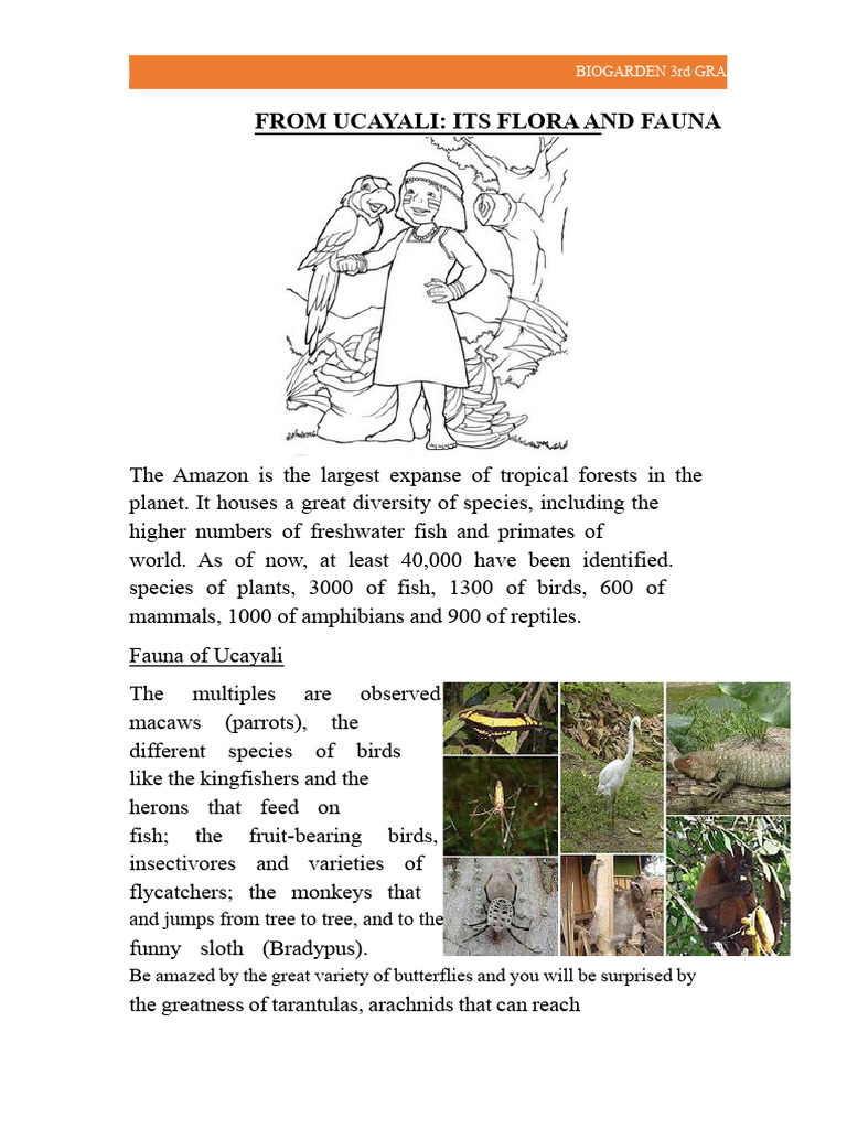 Flora and Fauna of Ucayalí | PDF