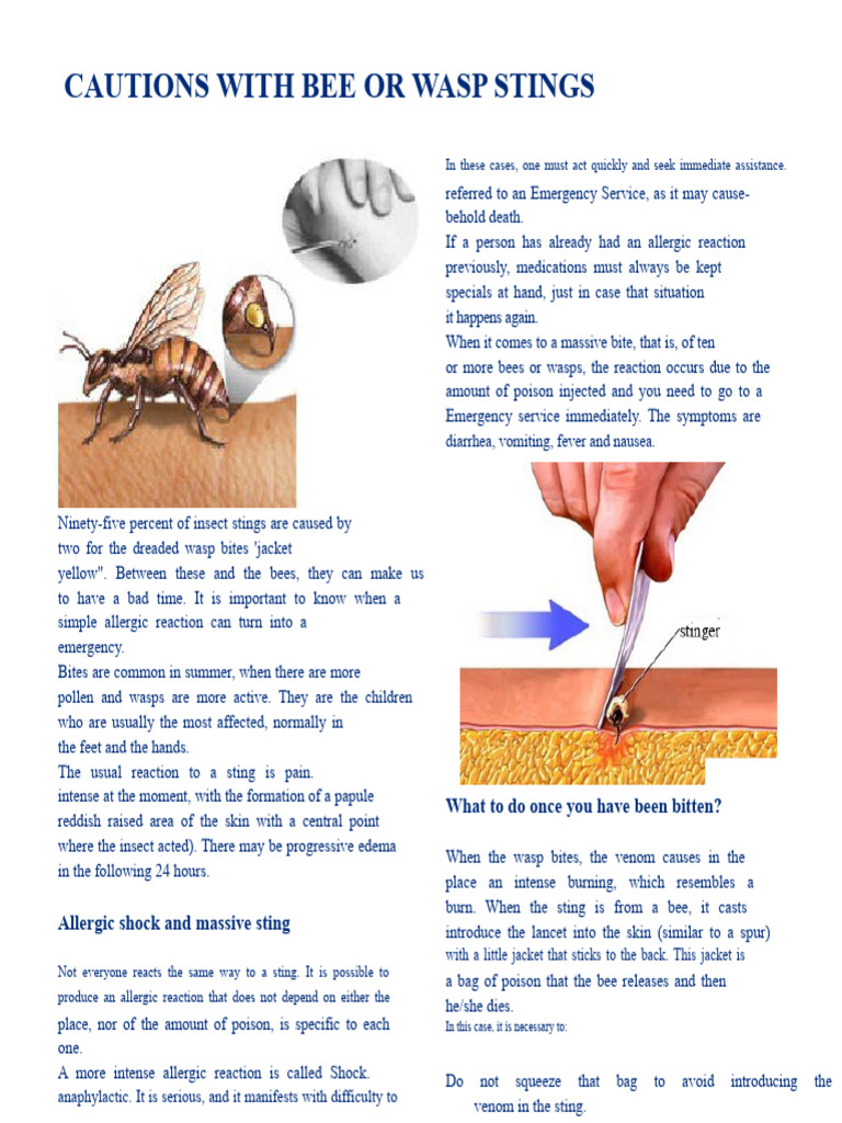 Bee or Wasp Sting | PDF | Allergy | Clinical Medicine