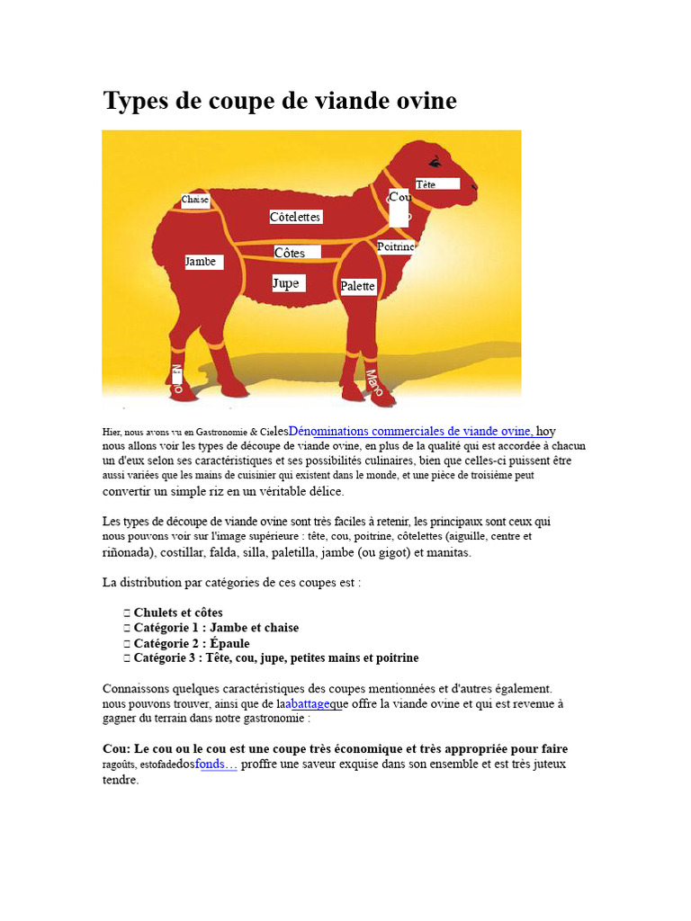 Découpes de viande ovine : Guide complet | PDF | Cuisine européenne ...