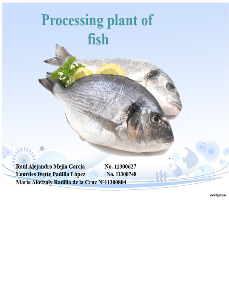 Fish Processing Plant I | PDF