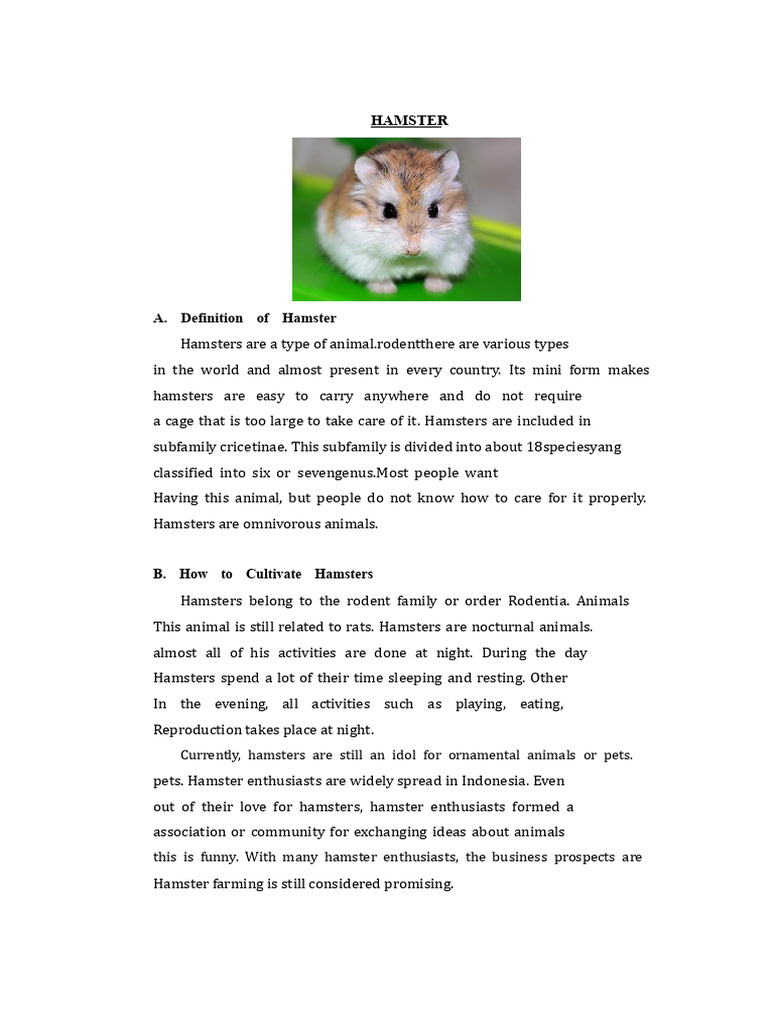 Hamster | PDF