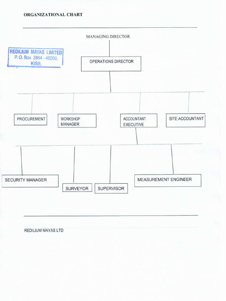 Org Chart | PDF