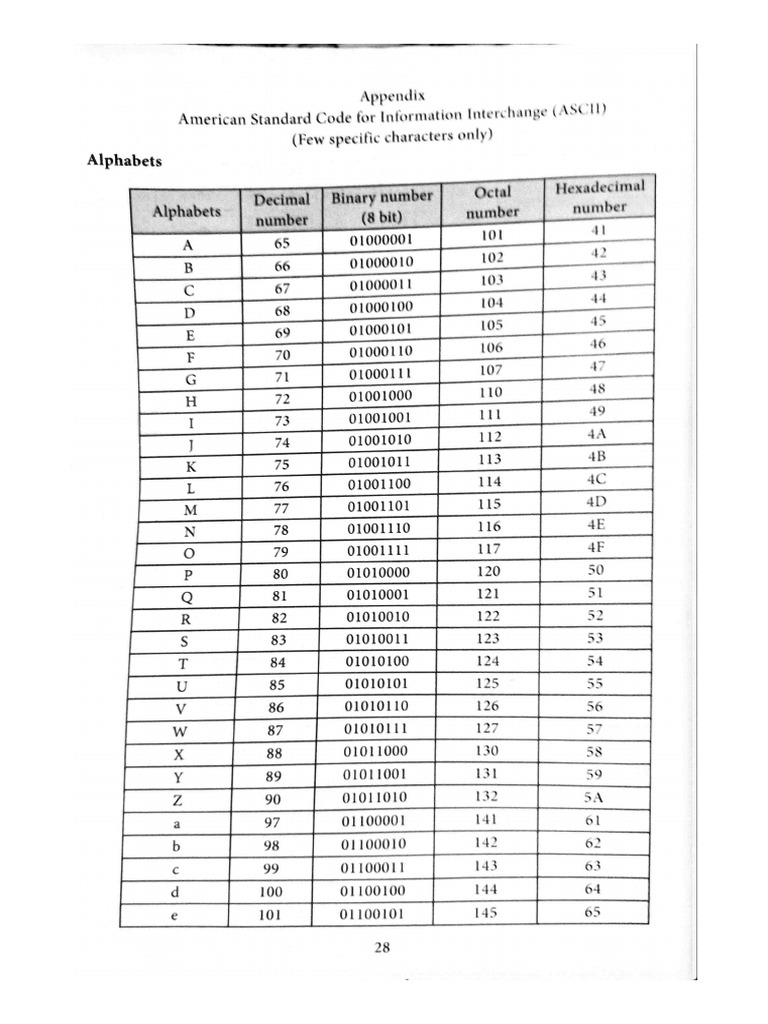Computer Science Pdf Pdf