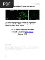 Calculus I - Related Rates (Practice Problems) | PDF | Area