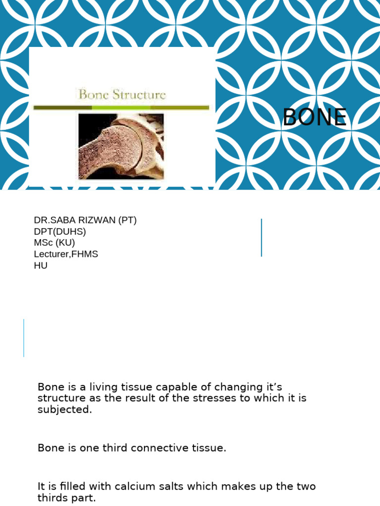 Anatomy 03 Bone | PDF | Bone | Skeleton