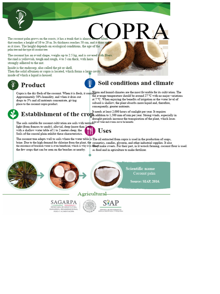 Copra Monograph A | PDF | Coconut | Agriculture