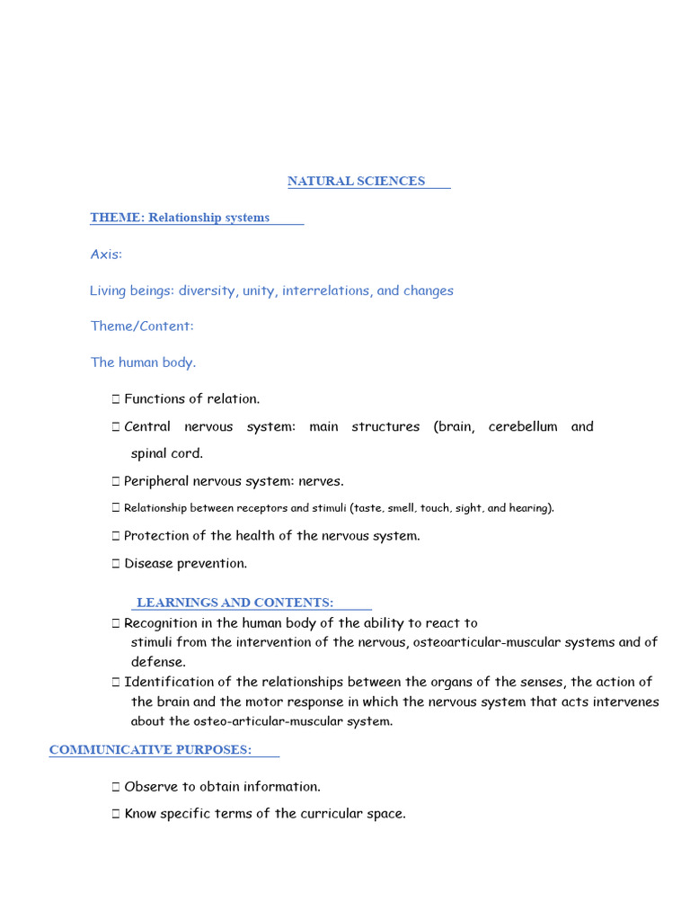 Didactic Sequence - Nervous System | PDF | Endocrine System | Nervous ...