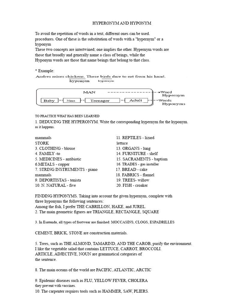 Hypernyms and Hyponyms Worksheets | PDF | Lexical Semantics